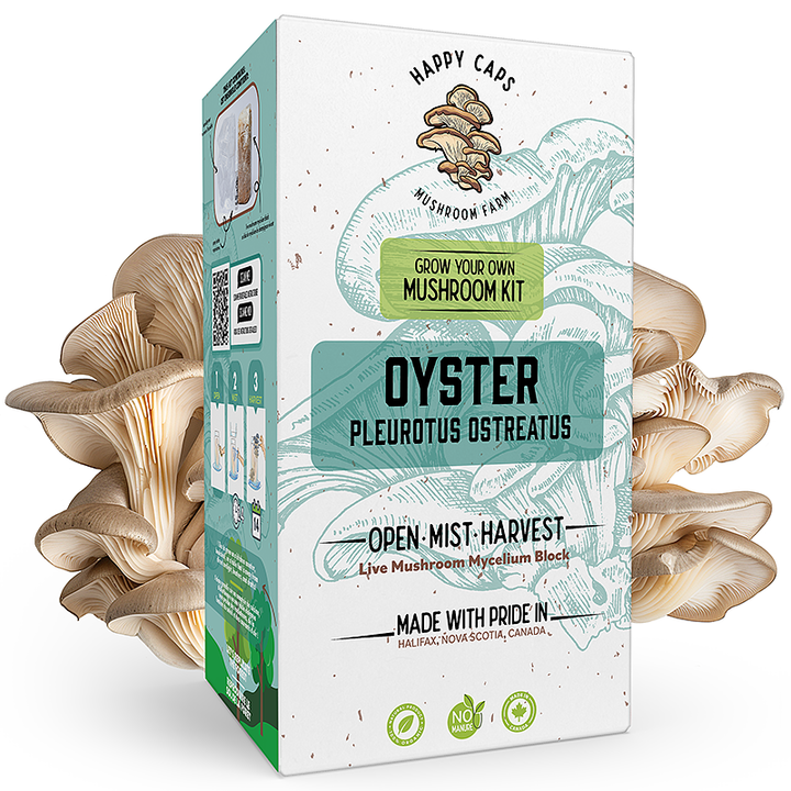 Oyster Mushroom Kit – HAPPY CAPS